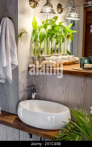 Bath accessories, mirror, houseplant and sink on table near dark wall ...