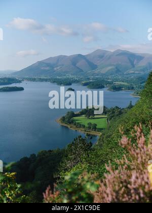 Derwentwater from Surprise viewpoint, Keswick, Lake District National ...