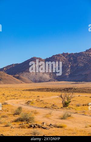 Wide open area in the Richtersveld National Park, arid area of South ...