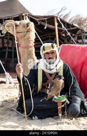 Bedouin man with his falcon and camel resting in front of his tent ...