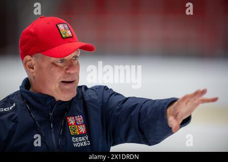 Coach Radim Rulik attends the Czech national hockey team training prior ...