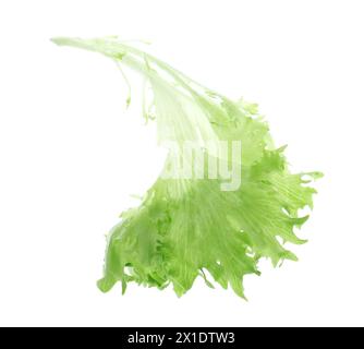 Leaf of fresh lettuce for burger isolated on white Stock Photo - Alamy