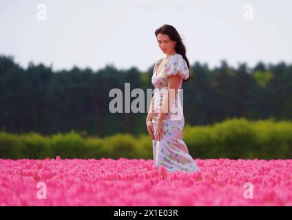 Tulips for Tapping, Tulip Festival in Norfolk April Stock Photo - Alamy