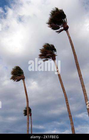Heavy wind in Desert Hot Springs, California Stock Photo - Alamy
