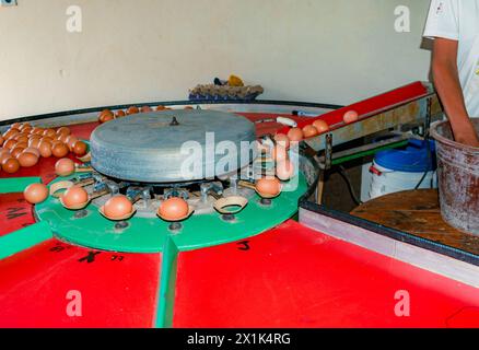EGG SEPARATION PROCESS IN AN AUTOMATIC SEPARATING MACHINE ON A PEASANT FARM Stock Photo - Alamy