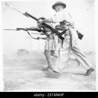 MOPPING UP ENEMY OBSERVATION POST - The objective reached. Infantry ...