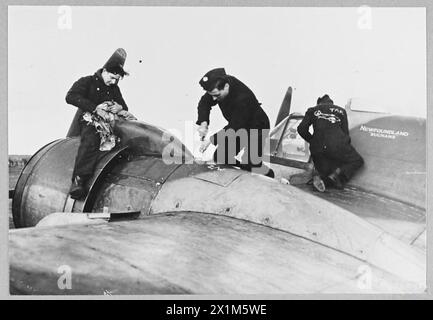 A Beaufighter named 'BUCHANS' is serviced by mechanics of the ...