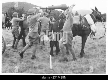 ROYAL ARTILLERY MOUNTAIN BATTERY - The battery prepares for action ...