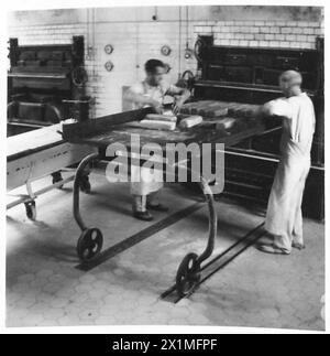 RESTORATION OF FOOD PRODUCTION IN A RHINE AREA IN GERMANY - Removing ...