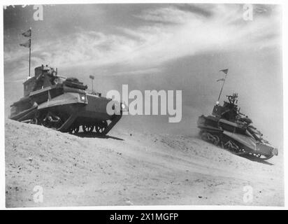 A DAY IN THE LIFE OF A HUSSAR IN EGYPT - A striking picture of tanks in ...