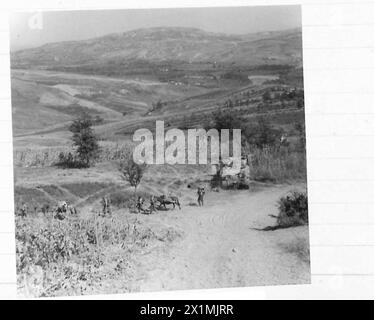 Sherman tanks of the British Eighth Army assembled near the Sangro ...