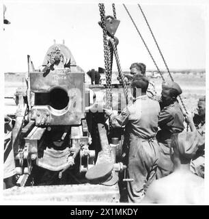 BATTLE OF TUNISIA - EL HAMMA AND GAFSA AREA - The Lt. Col. who was ...