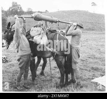 ROYAL ARTILLERY MOUNTAIN BATTERY - The battery prepares for action ...