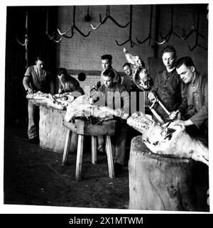Army butchers prepare meat joints, cutting carcasses as part of British ...