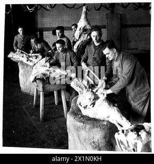 ARMY BUTCHERS AT WORK - Army butchers preparing the joints. Here men ...