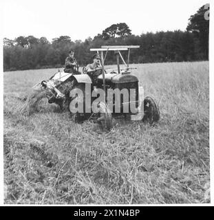 Soldiers operate a tractor and harvester to cut a ten-acre oat field ...