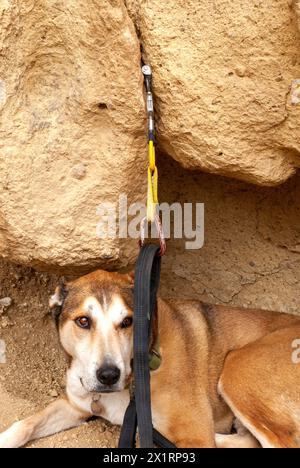 Close up rock climbers gear Stock Photo - Alamy