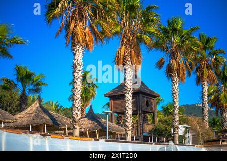 Experience the fusion of tropical beauty and tribal culture under palm ...