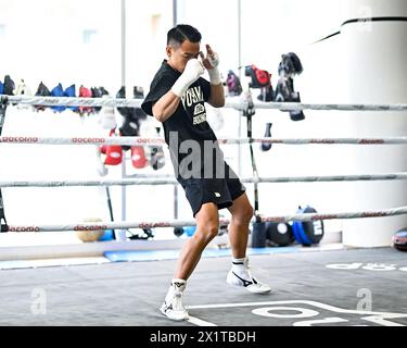 Yoshiki Takei, Japanese professional boxer trains during a public ...
