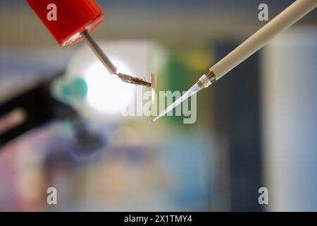 Electrospinning of self-assembling molecules to wires The natural self ...