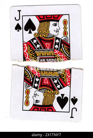 A jack of clubs playing card torn in half on a white background Stock ...