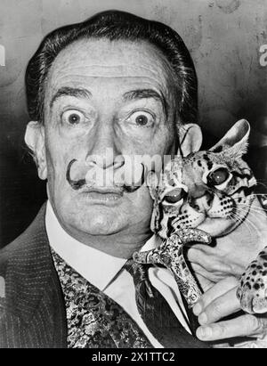 Salvador Dali with his pet ocelot, Babou, and cane. 1965 Stock Photo ...