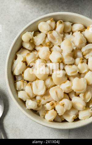 Raw Cooked White Mexican Hominy Corn in a Bowl Stock Photo - Alamy