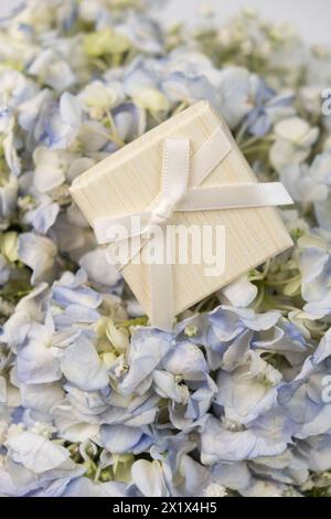 Gypsophila romantic little white flowers bouquet background macro Stock ...