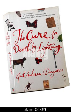 Book cover - The Cure For Death By Lightning by Gail Anderson-Dargatz ...