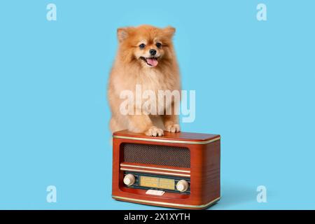 Cute Pomeranian dog with radio receiver on table against blue ...