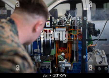 Marines from Marine Forces Special Operations Command conduct practical ...