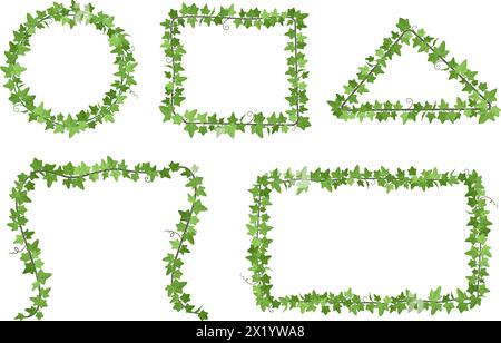 Long liana vine and rectangular frame with green leaves and flowers ...