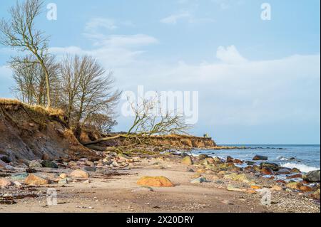 Baltic Sea island Fehmarn, cliff coast at Fehmarnsund, resting place ...
