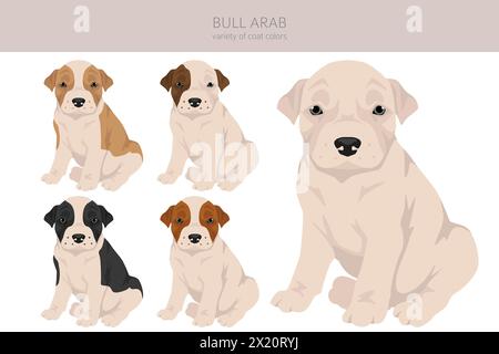 Bull Arab clipart. Different coat colors and poses set. Vector ...