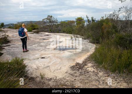 Indigenous aboriginal first nations rock art in Ku-Ring-Gai chase ...