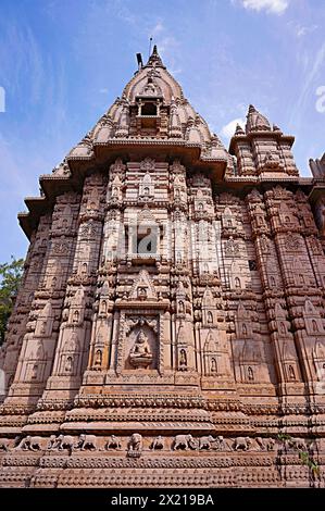 Carvings on the outer wall of Chhatri of Shrimant Jankoji Scindia ...