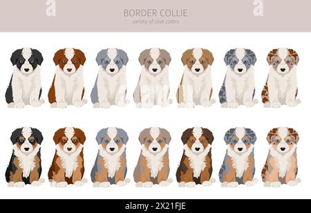 Border collie dog clipart. All coat colors set. All dog breeds ...