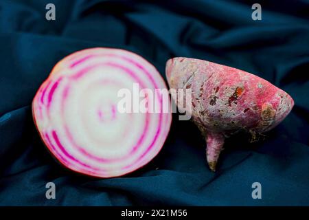 Root beet (Beta vulgaris), sliced turnip Stock Photo - Alamy