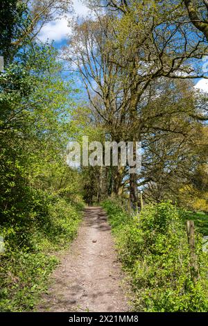 The Hangers Way long distance trail, footpath through countryside and ...