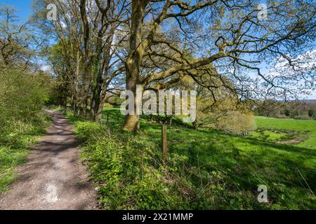 The Hangers Way long distance trail, footpath through countryside and ...