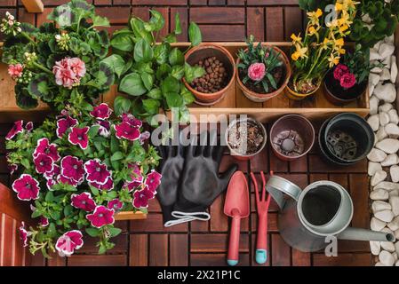 Composition with potted plants, expanded clay and gardening supplies on ...