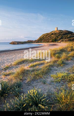 Torre di Chia, Spiaggia di Su Portu, Sardinia, Italy Stock Photo - Alamy