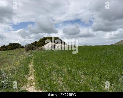 domus de janas in setzu in central sardinia - the ancient fairy houses ...