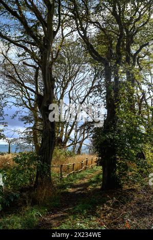 On the island of Oie. Boat trip with the Seeadler to Ruden Island and ...