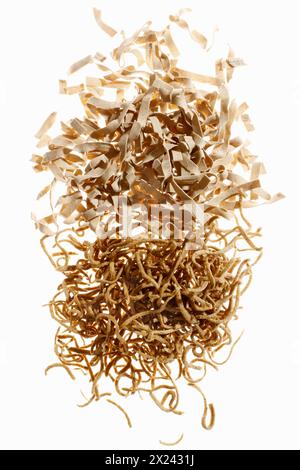 Bug noodles (egg noodles with insect protein Stock Photo - Alamy