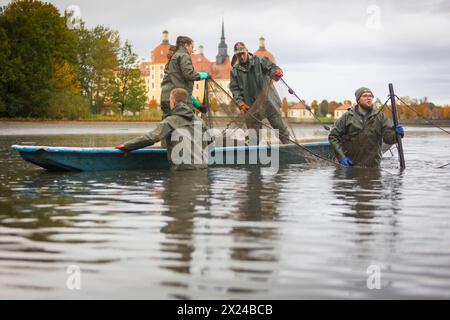Fisch- und Waldfest Fisch und Waldfest, abfischen des Moritzburger ...