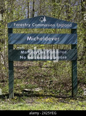 Micheldever Wood, Micheldever, Hampshire, England, UK - Beech Wood ...