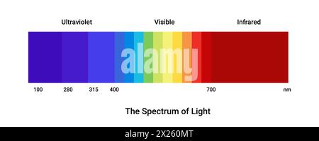 Spectrum light scale. Led diagram with visible and daylight Stock ...