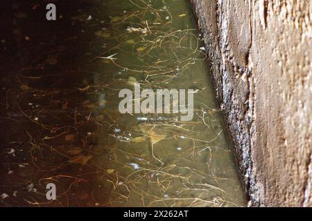 Egypt, Fayum, Hawara, entrance of the pyramid of Amenemhat III Stock ...
