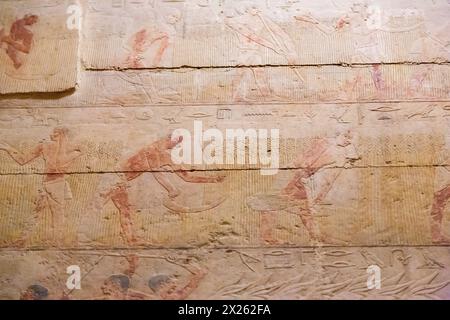 Egypt, Saqqara, tomb of Ty, agriculture : Put the sheafs on a stack ...